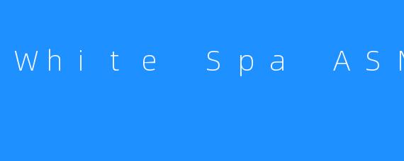 探索“White Spa ASMR”：放松与宁静的完美融合_奥术魔刃